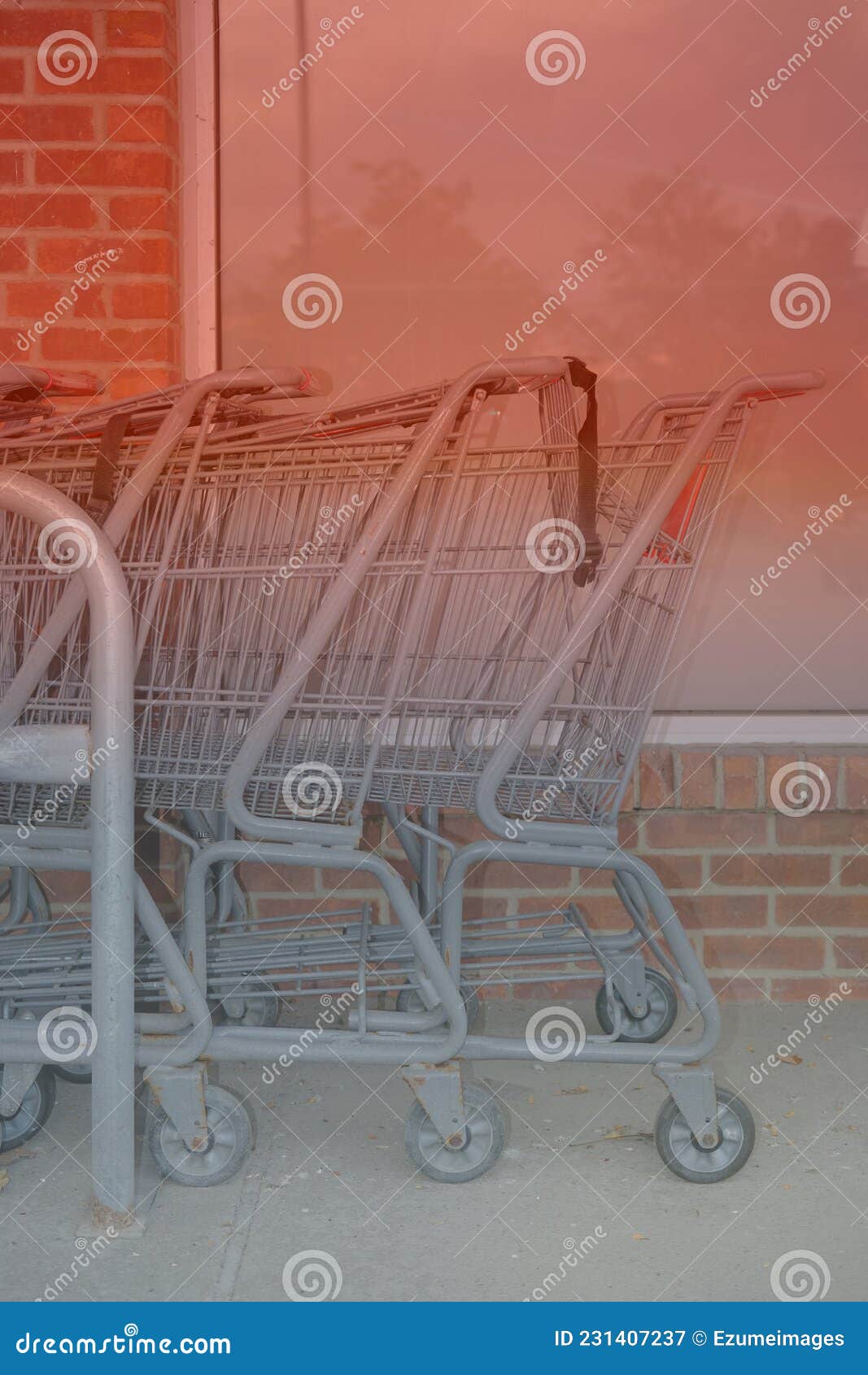 Retail Shopping Carts stock image. Image of wire, shopping - 231407237