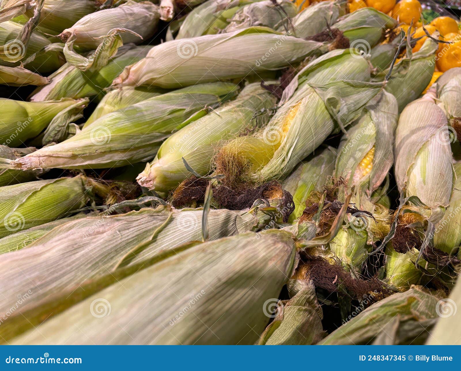 Retail Store Raw Corn Side View Stock Image - Image of market, concept ...