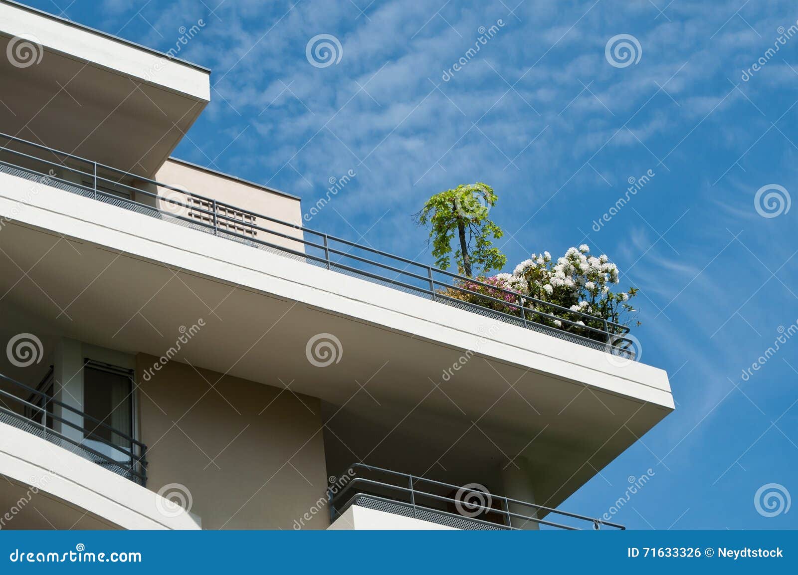 Retail of Terrace with Trees Stock Photo - Image of house, estate: 71633326