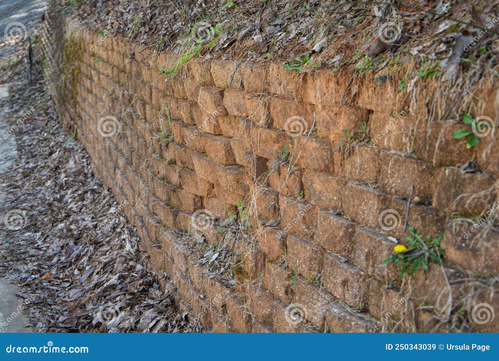 Retaining Wall in the Mountains Made of Bricks and Dirt Stock Image ...