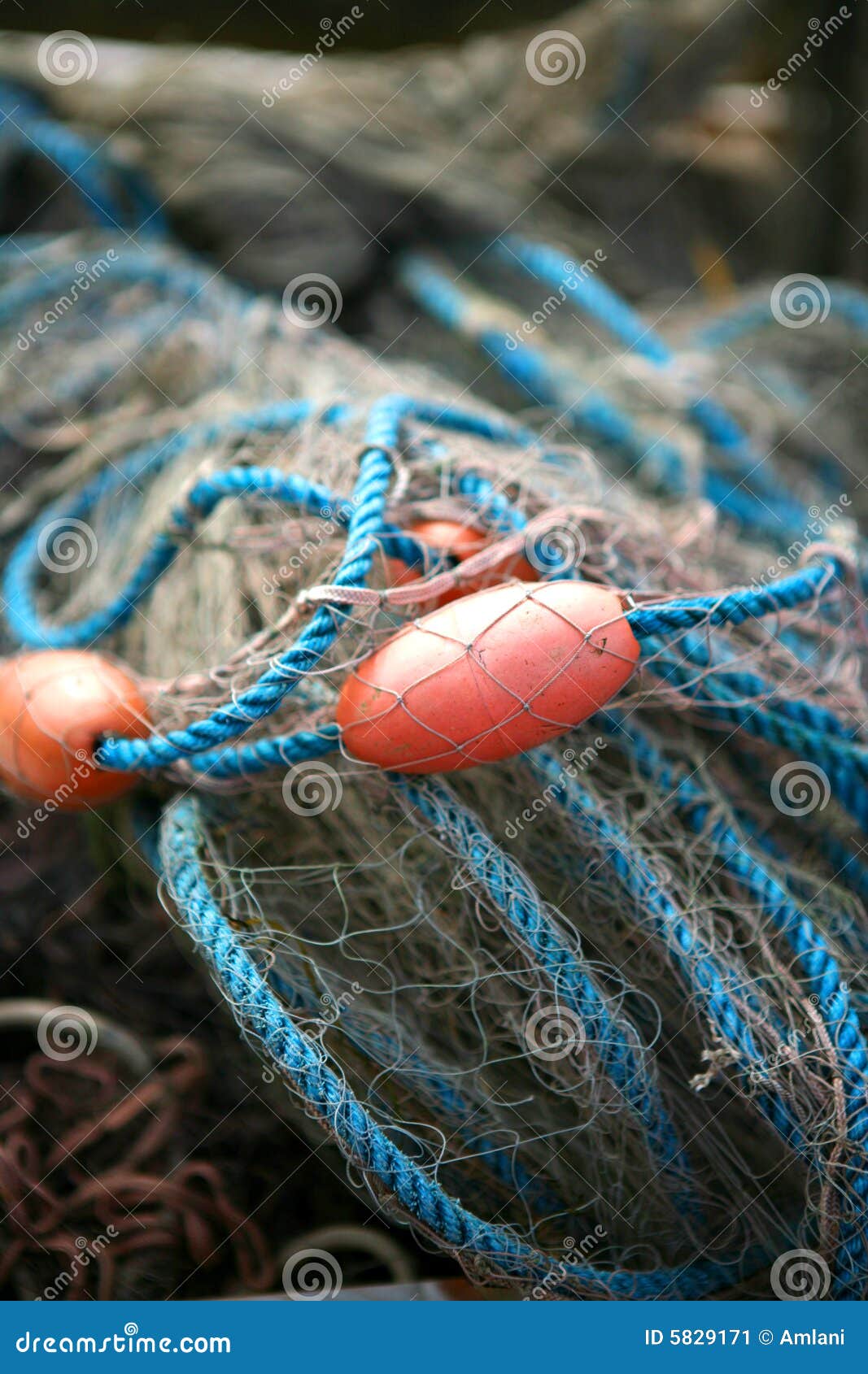 Rete da pesca immagine stock. Immagine di maglia, aggrovigliato - 5829171