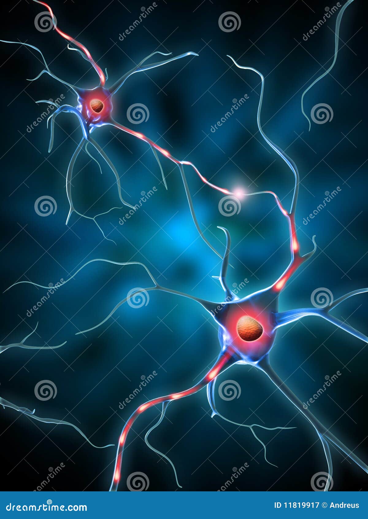 Rete neurale illustrazione di stock. Illustrazione di neurone - 11819917