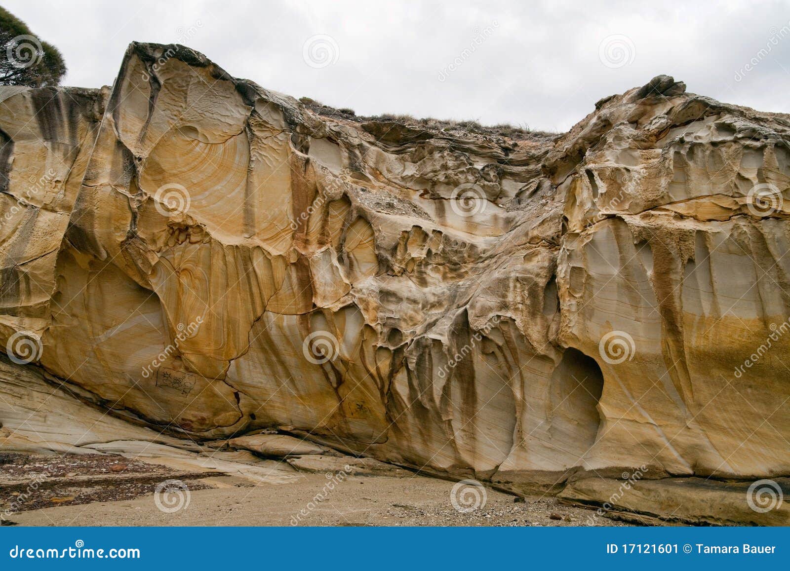 Reticoli Dell'arenaria in Roccia Immagine Stock - Immagine di tasmania ...
