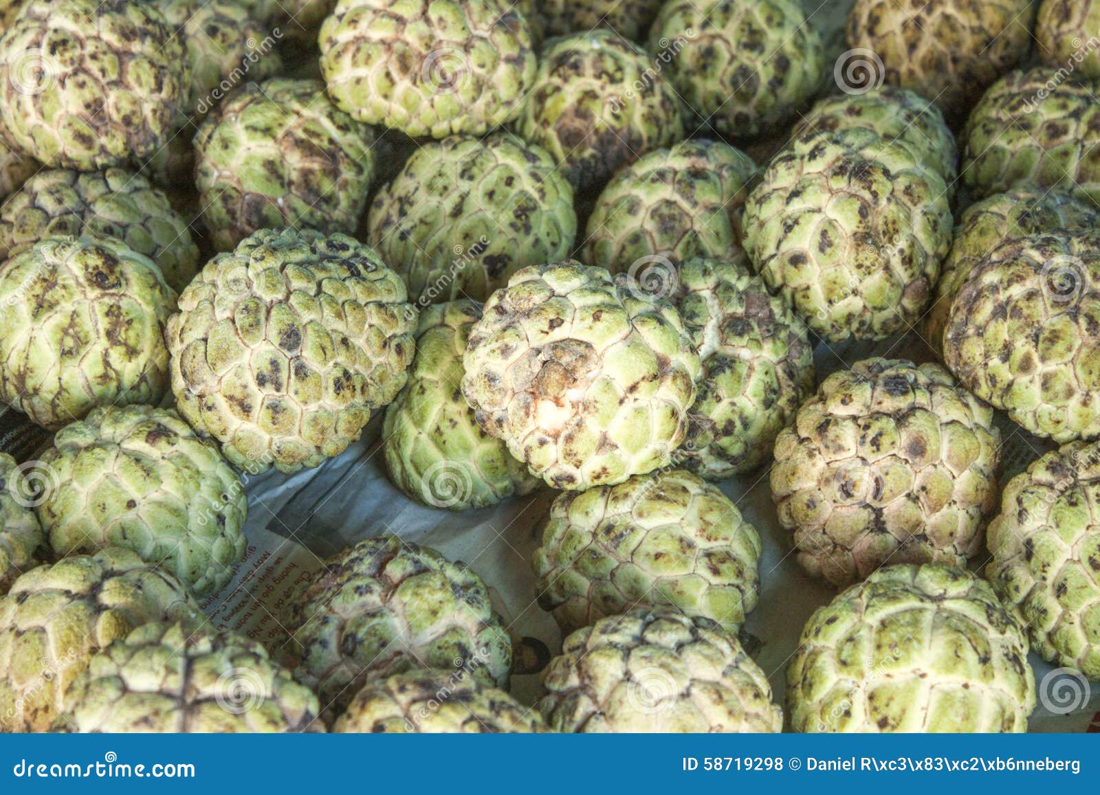 Reticulata Del Annona De Las Anonas Foto de archivo - Imagen de granja ...