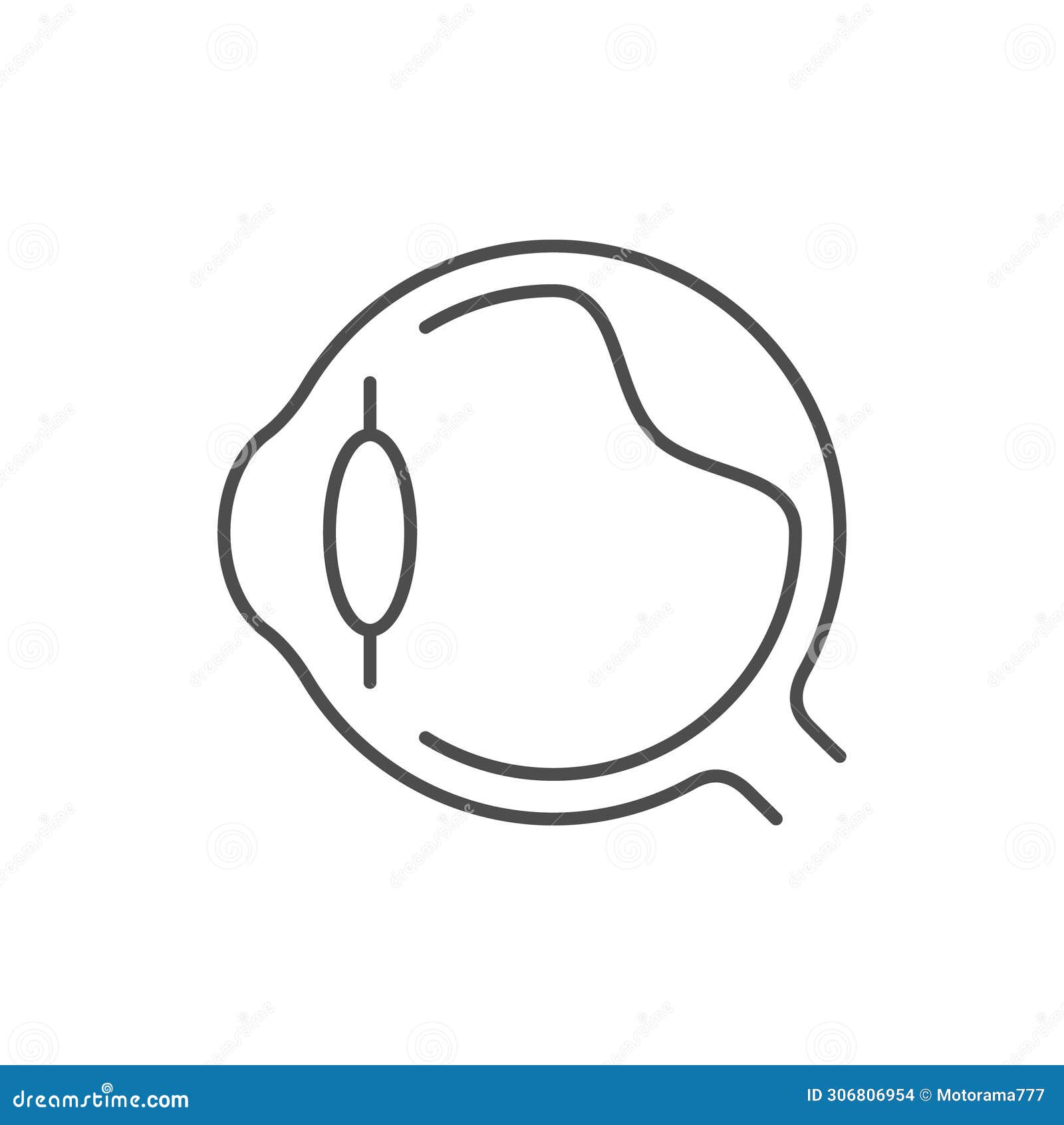Retina Detachment Line Outline Icon Stock Vector - Illustration of ...