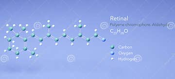Retinal, Molecular Structures, Polyene Chromophore, 3d Model ...