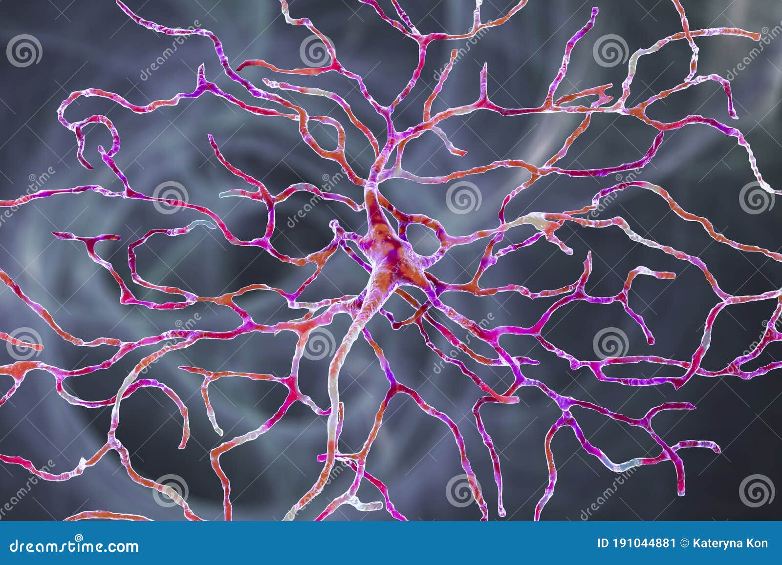 Retinal Neuron, a Neuron that Plays Crucial Role in Vision, it ...