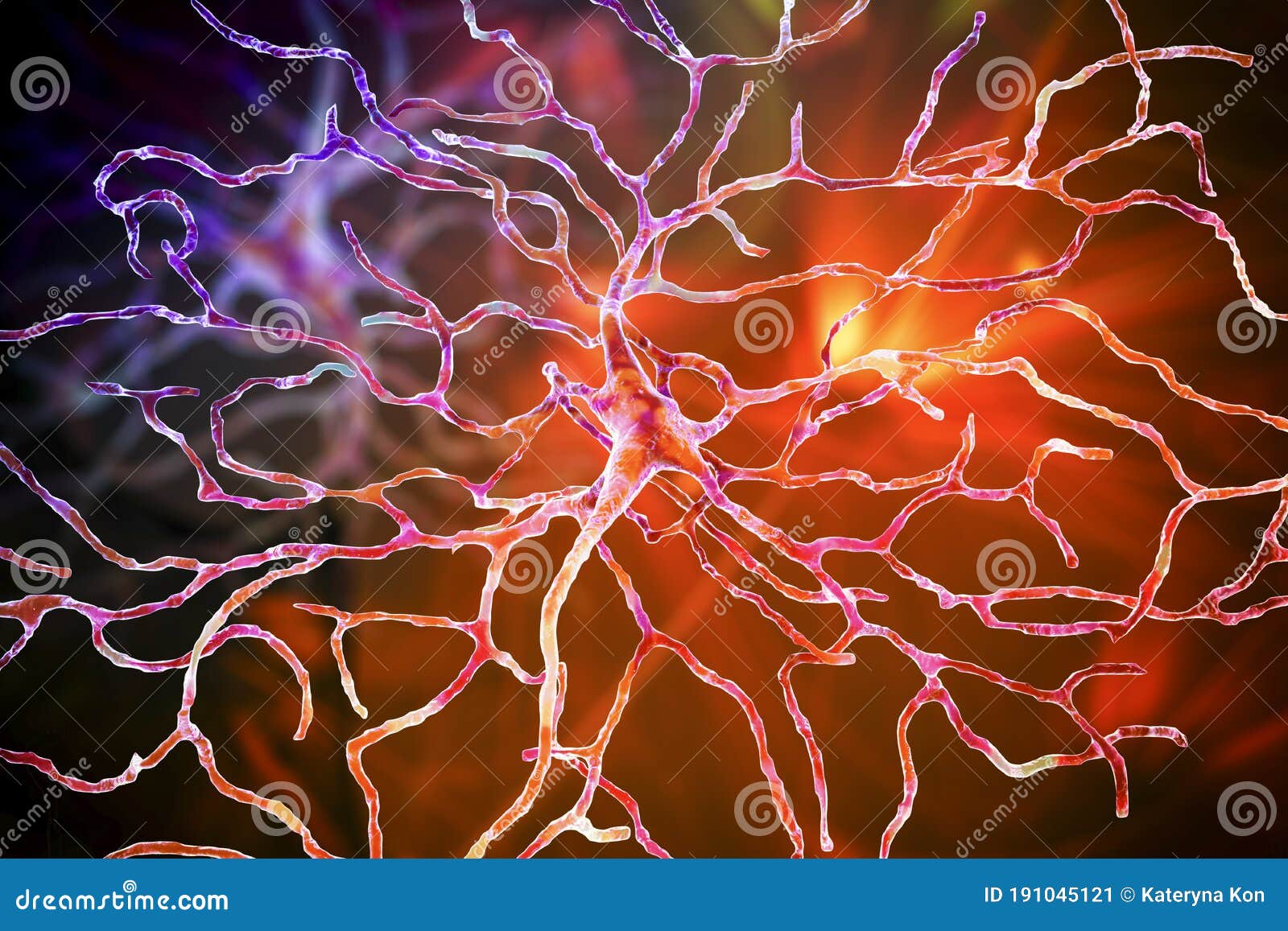 Retinal Neuron, a Neuron that Plays Crucial Role in Vision, it ...