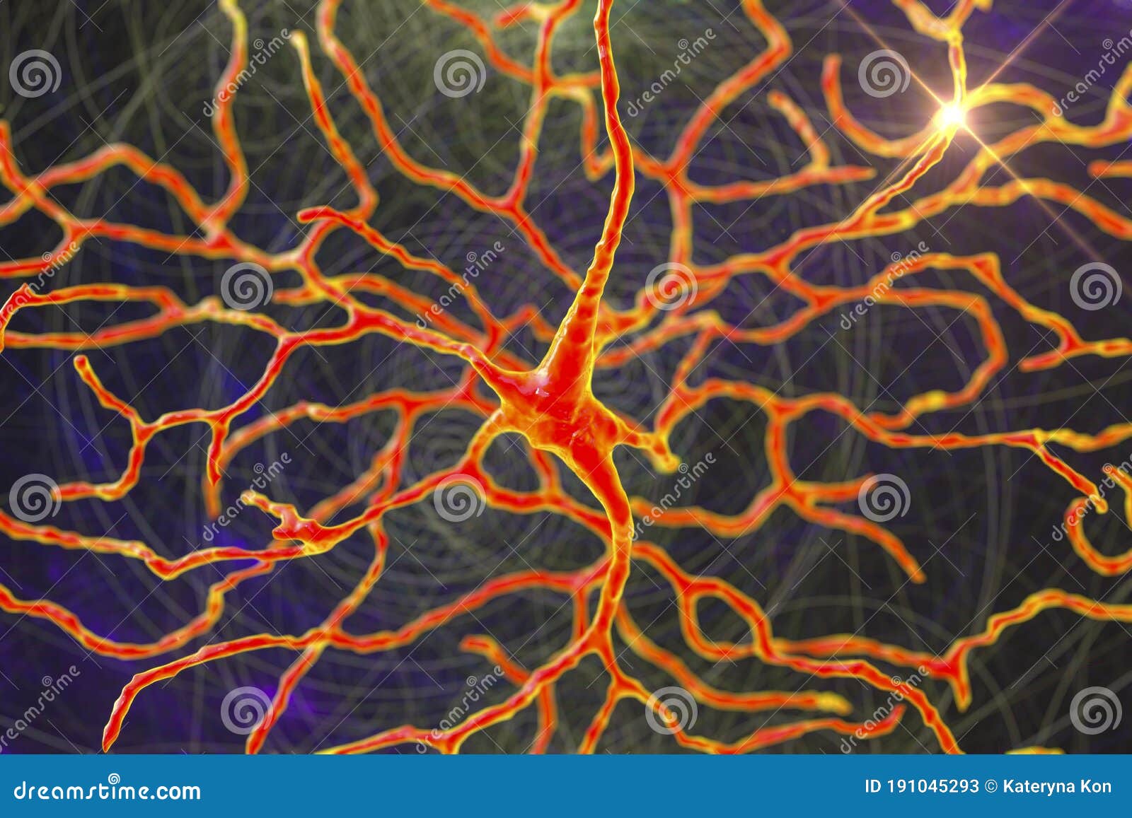 Retinal Neuron, a Neuron that Plays Crucial Role in Vision, it ...