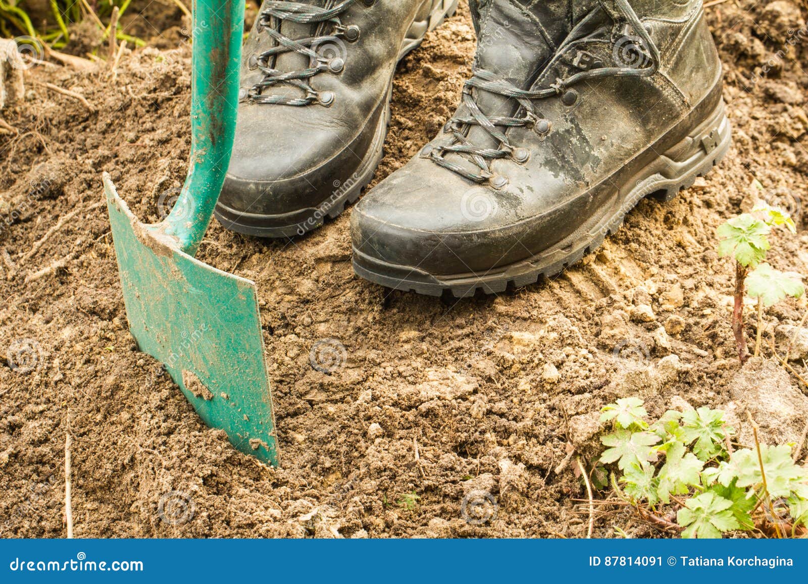 Retired dig for plants. stock image. Image of laborer - 87814091