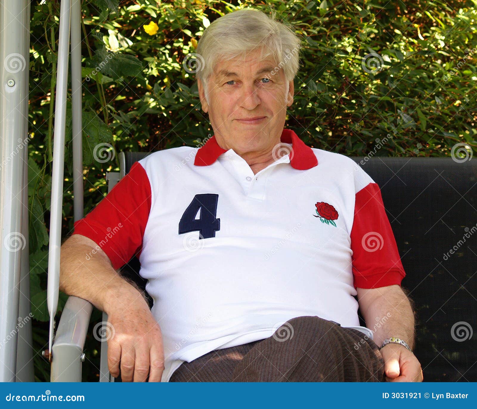 Retired man stock image. Image of boss, male, face, chairman - 3031921