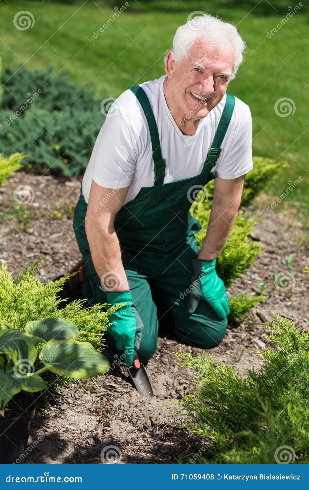 Retired Man Cultivating the Garden Stock Photo - Image of hobbyist ...