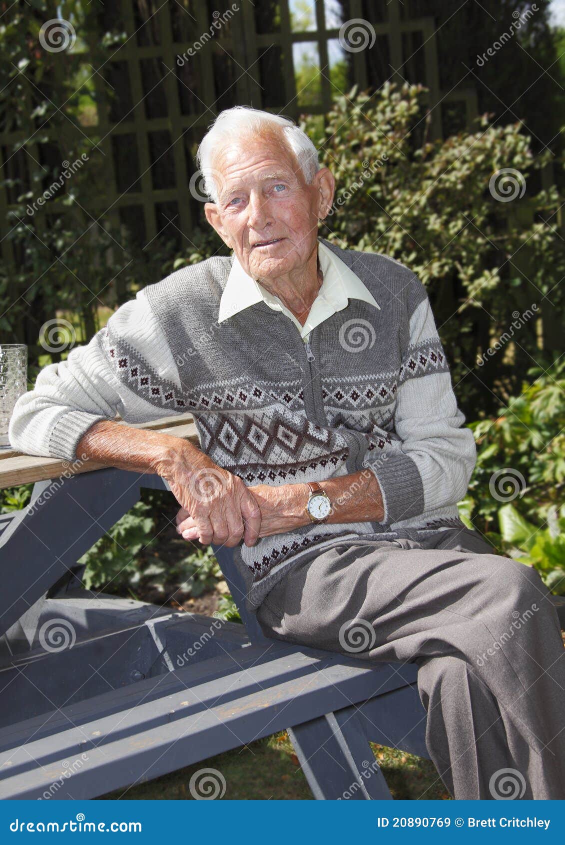 Retired old man stock image. Image of hair, caucasian - 20890769