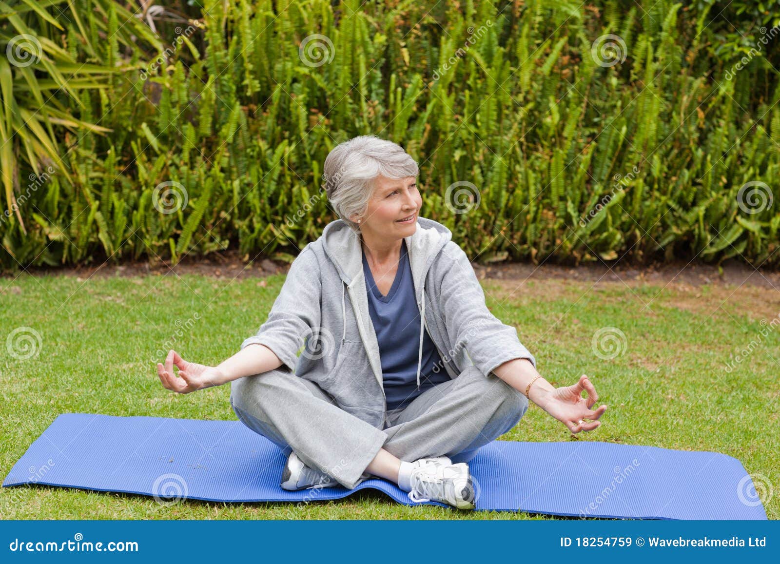 Retired woman stock image. Image of positive, home, mind - 18254759