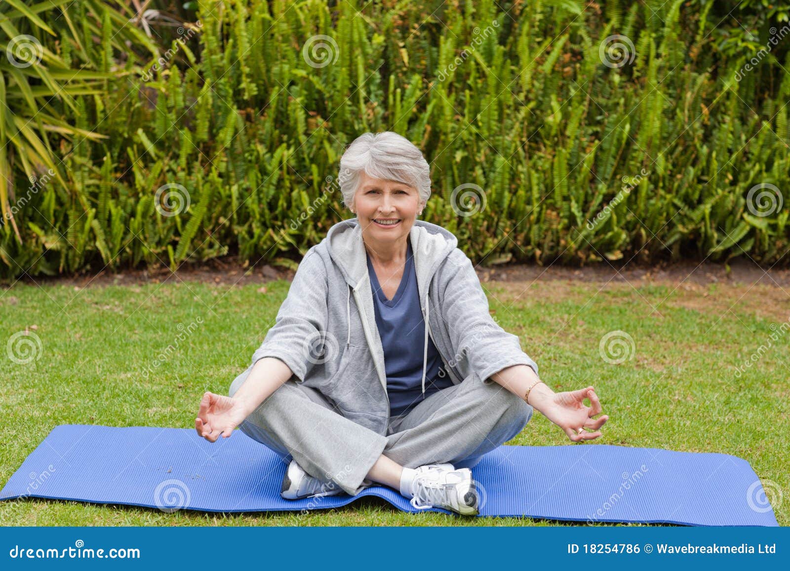 Retired woman stock photo. Image of comfort, conscious - 18254786