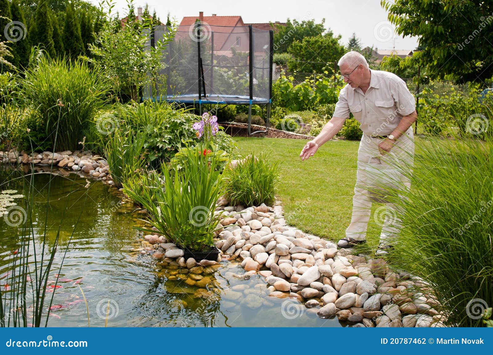 Retirement - feeding fish stock photo. Image of mature - 20787462