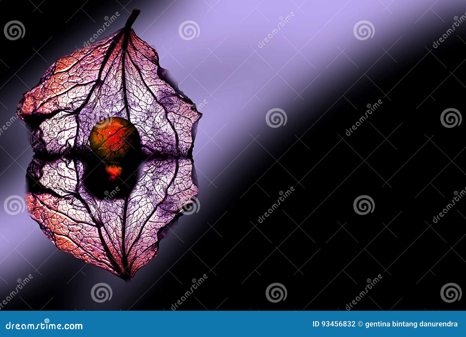 Retraction stock photo. Image of retraction, beauty, fall - 93456832