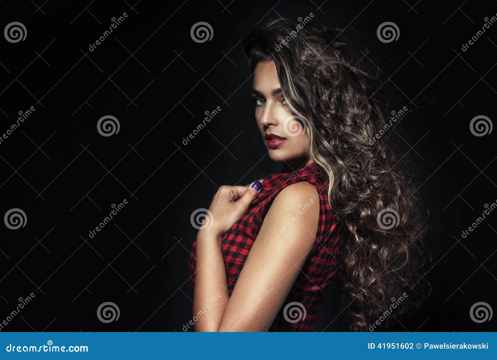 Retrato Da Mulher Do Brunette Da Beleza Foto De Stock Imagem De