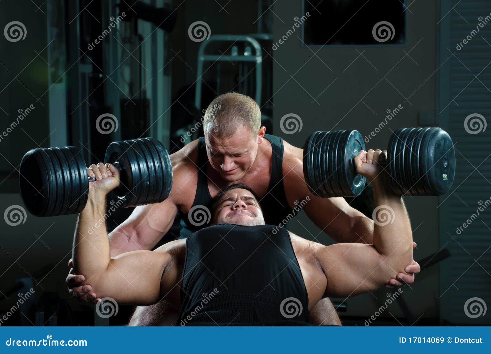 Retrato de bodybuilders imagen de archivo. Imagen de abdominal - 17014069