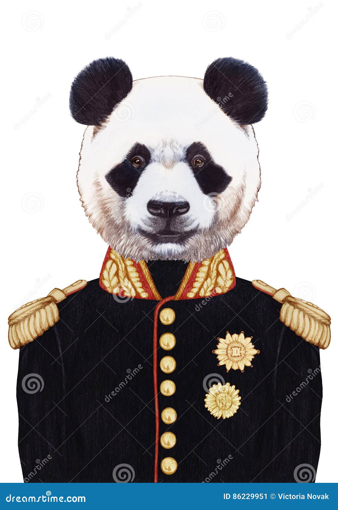 Retrato De La Panda En Uniforme Militar Stock de ilustración ...