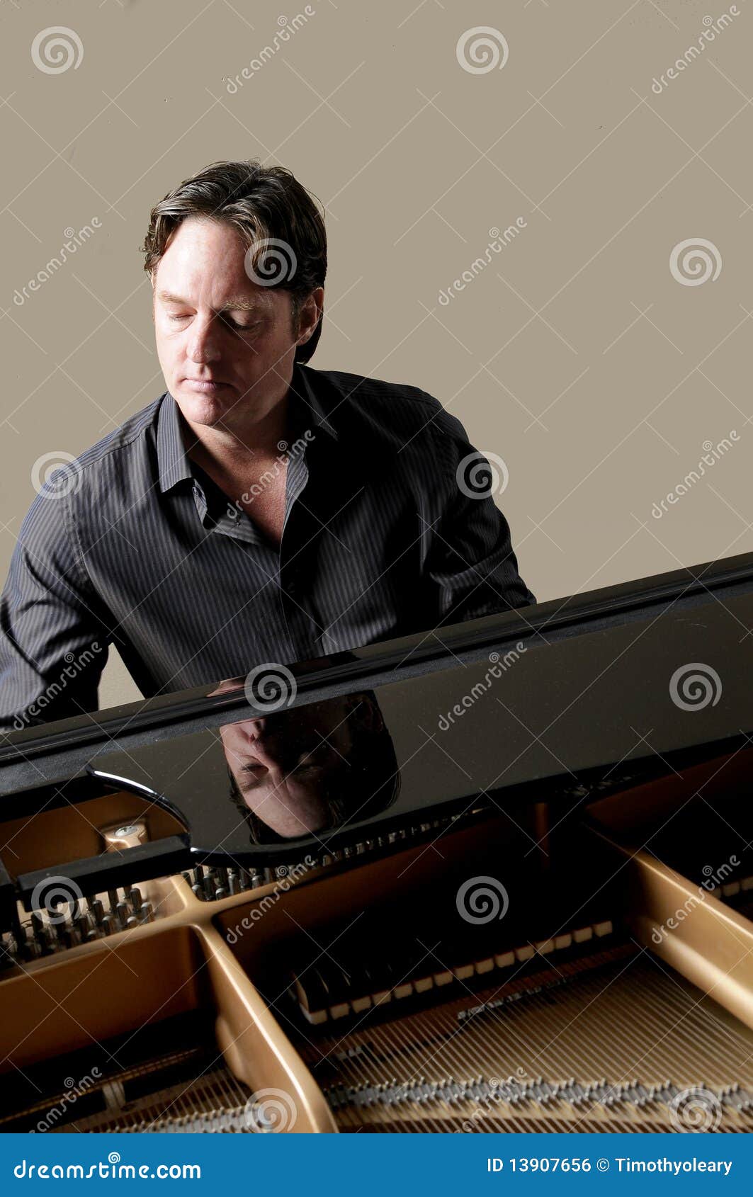 Retrato de um músico foto de stock. Imagem de carreira - 13907656