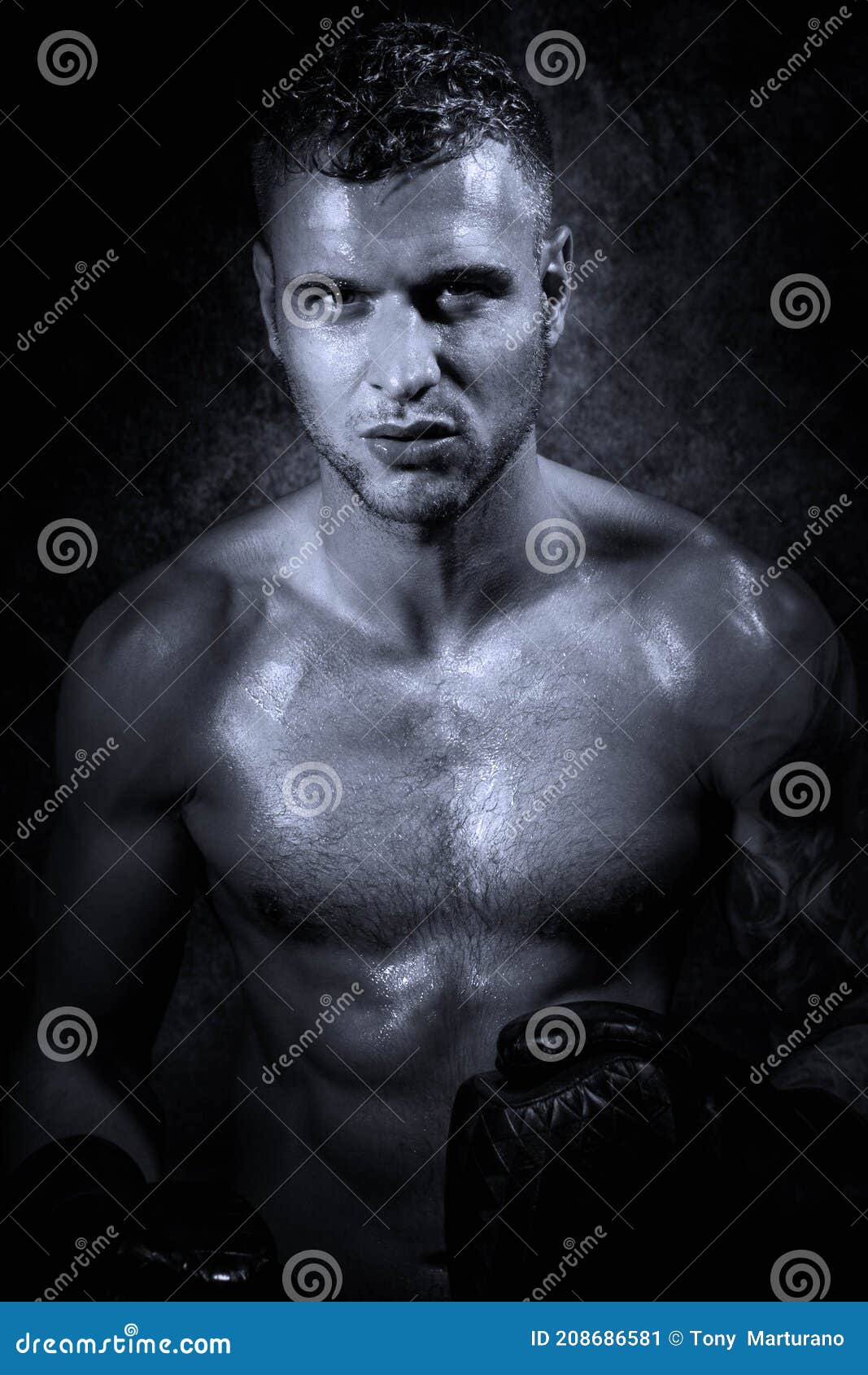 Retrato De Un Joven Y Atractivo Boxeador Muscular Sin Camisa Con Abs