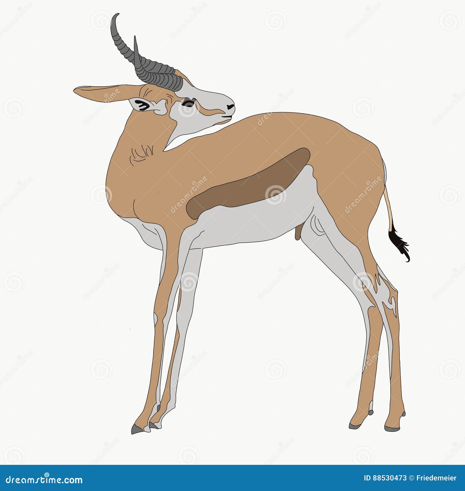 Retrato De Una Gacela Derecha Ilustración del Vector - Ilustración de ...