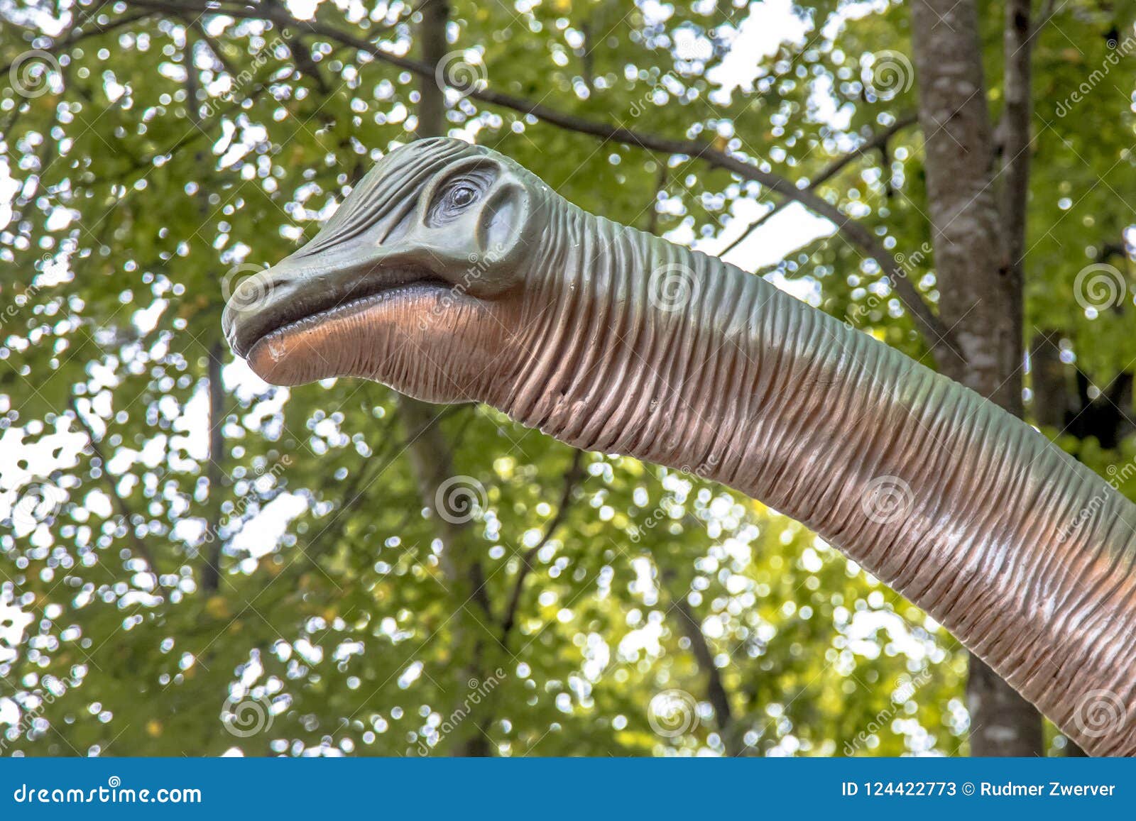 imágenes comunes del Brontosaurus - los derechos de la transferencia ...