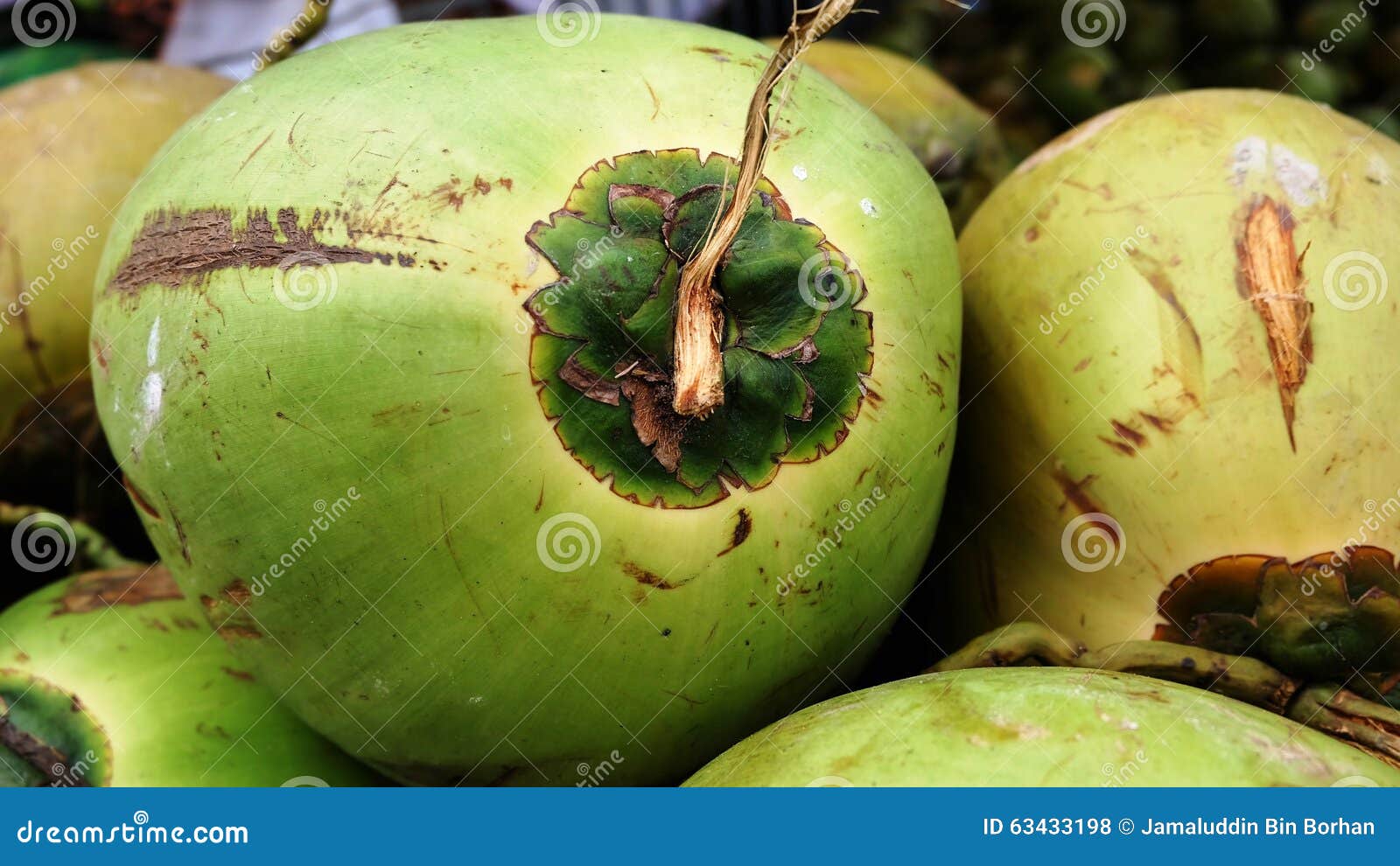 Retrato Del Coco Verde Joven Foto de archivo - Imagen de coco, dulce ...