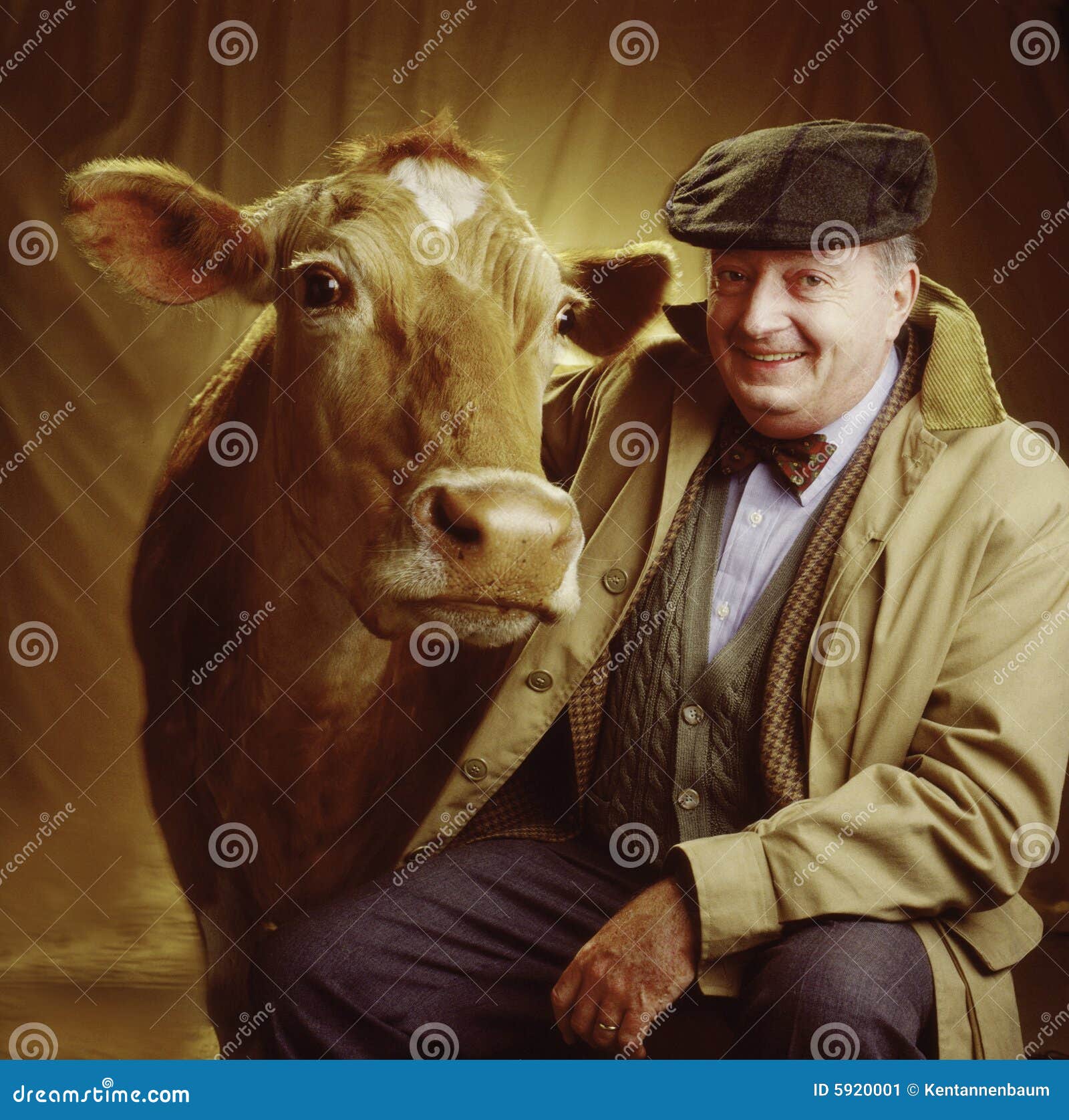 Retrato Del Hombre Con La Vaca Imagen de archivo - Imagen de inglés ...