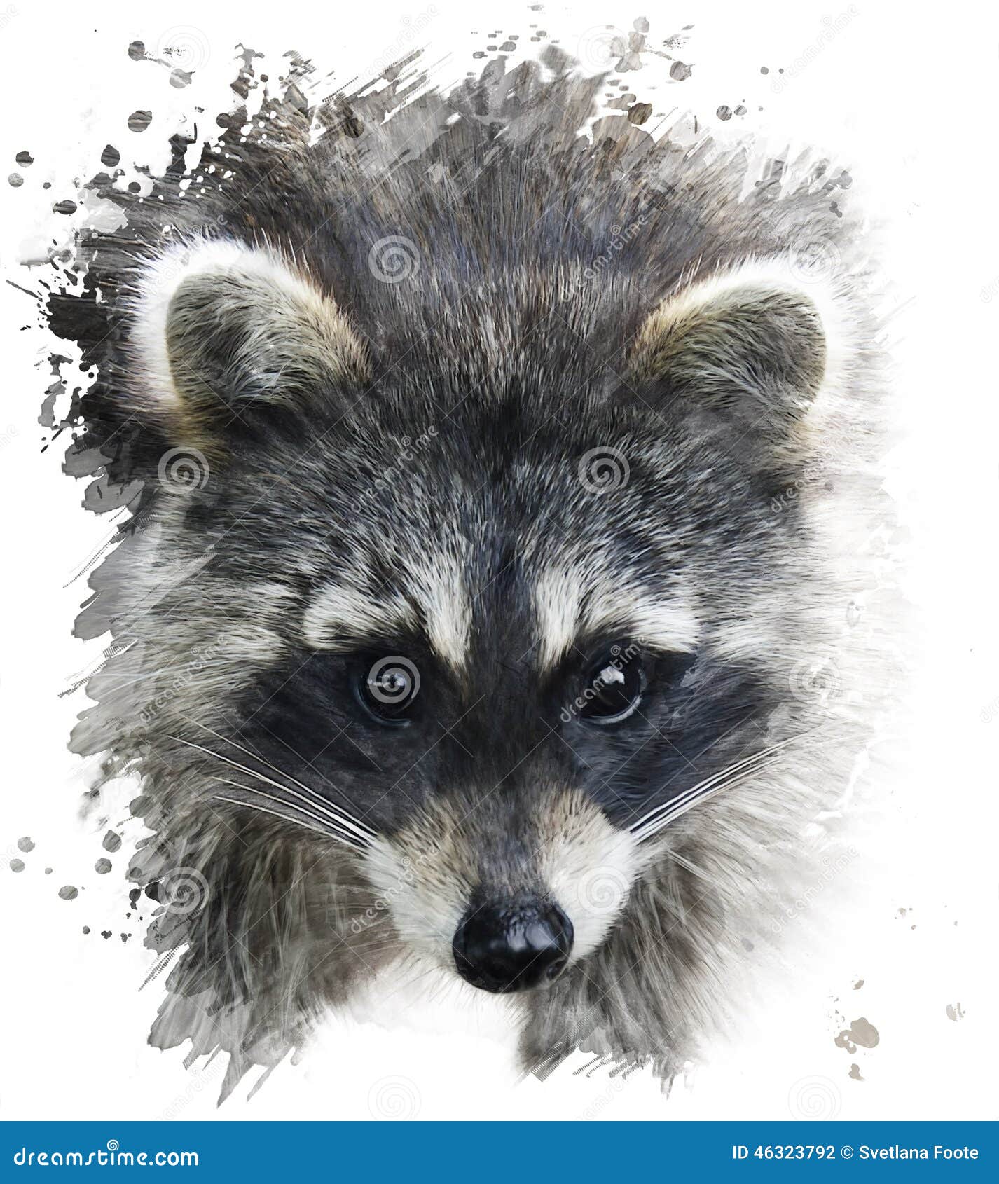 Retrato del mapache stock de ilustración. Ilustración de piel - 46323792