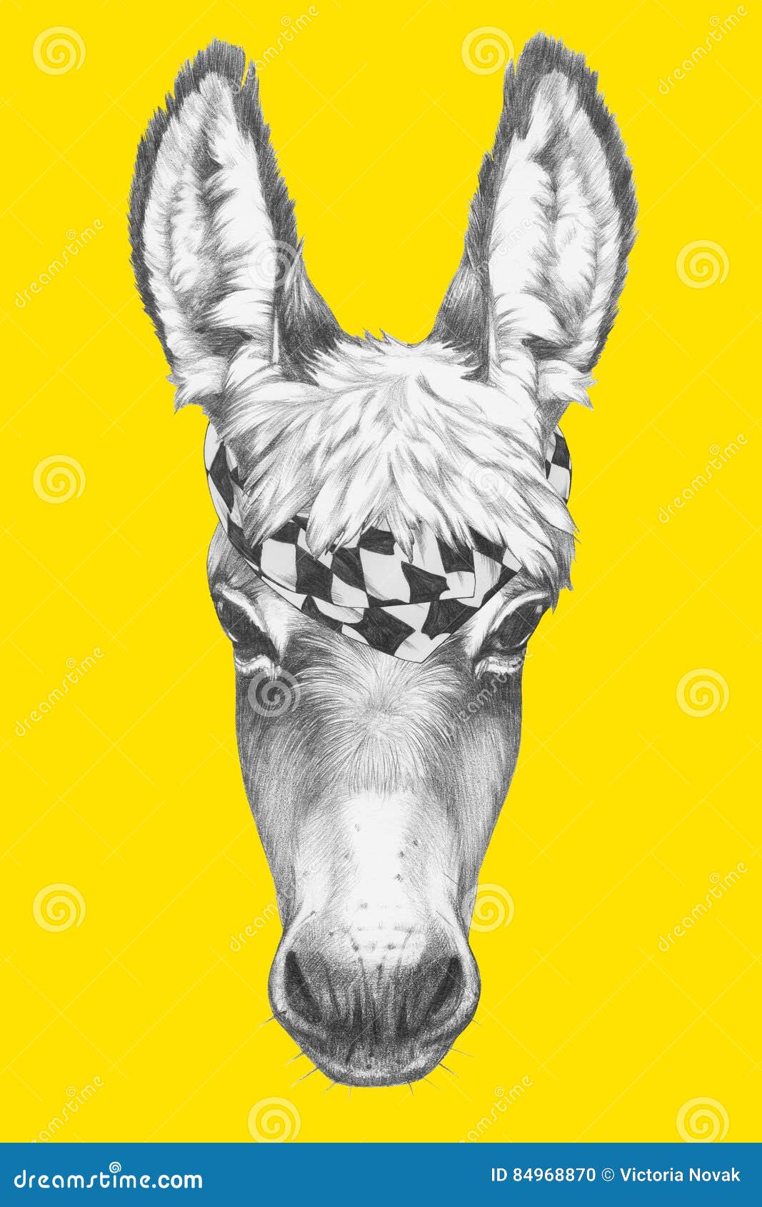 Retrato do asno com lenço ilustração stock. Ilustração de forma - 84968870