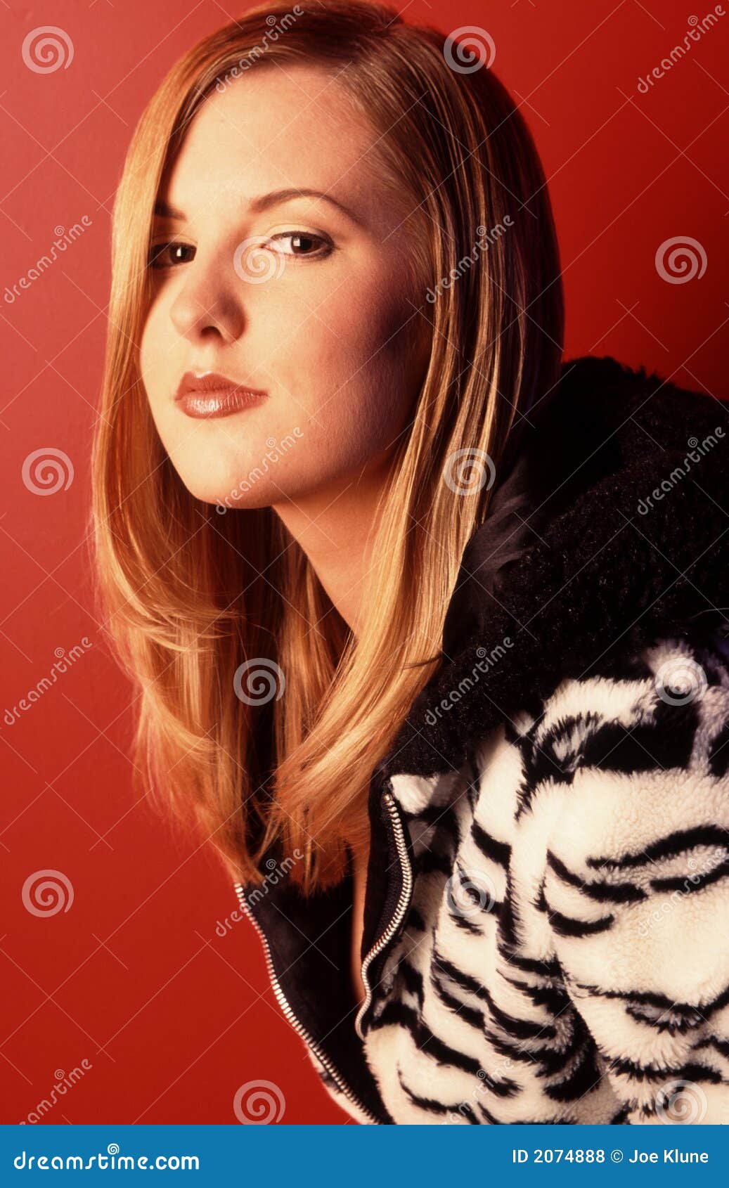 Retrato rubio foto de archivo. Imagen de estilismo, pechos - 2074888