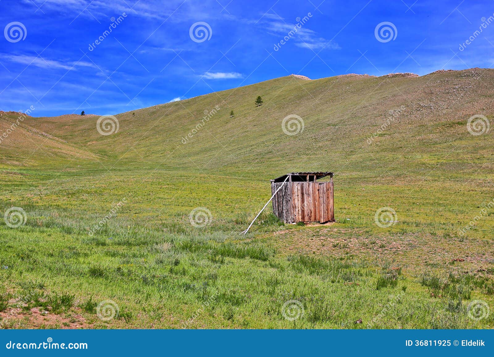Retrete Agazapado De Madera Mongol Imagen de archivo - Imagen de ...