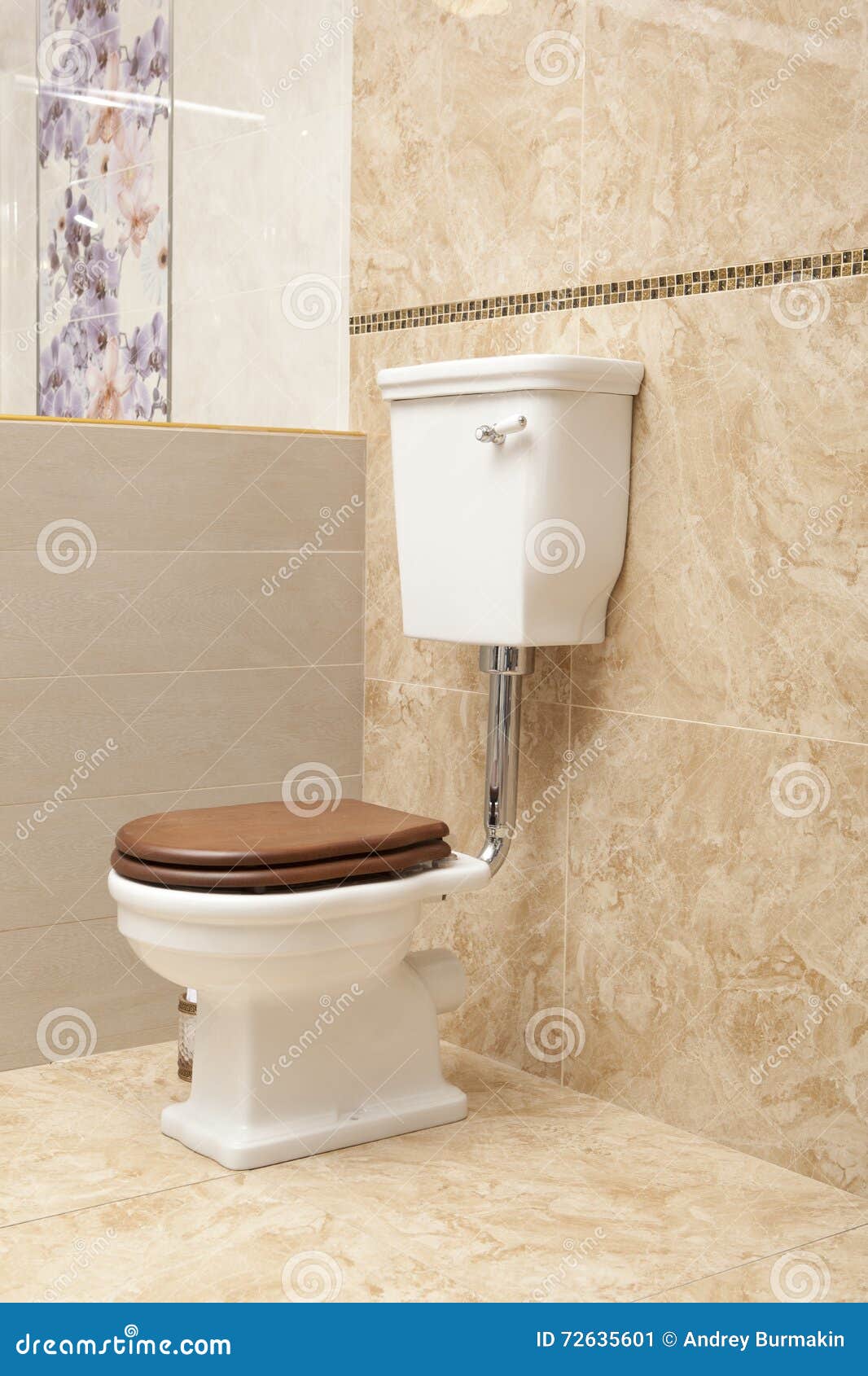 Retrete Elegante En Casa Moderna De Lujo Imagen de archivo - Imagen de ...