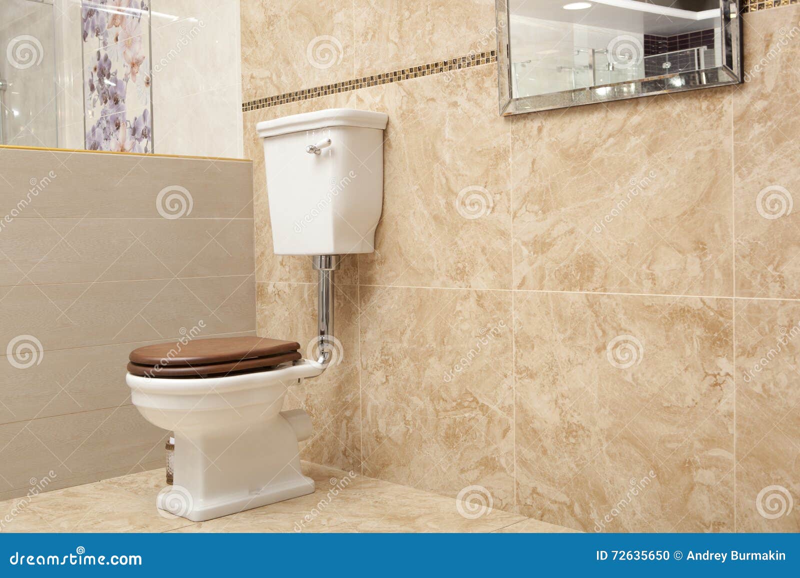 Retrete Elegante En Casa Moderna De Lujo Foto de archivo - Imagen de ...