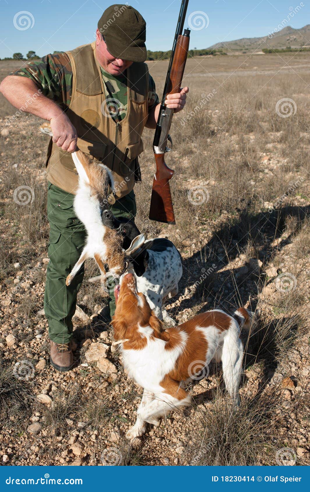 Retrieving stock photo. Image of shotgun, success, male - 18230414