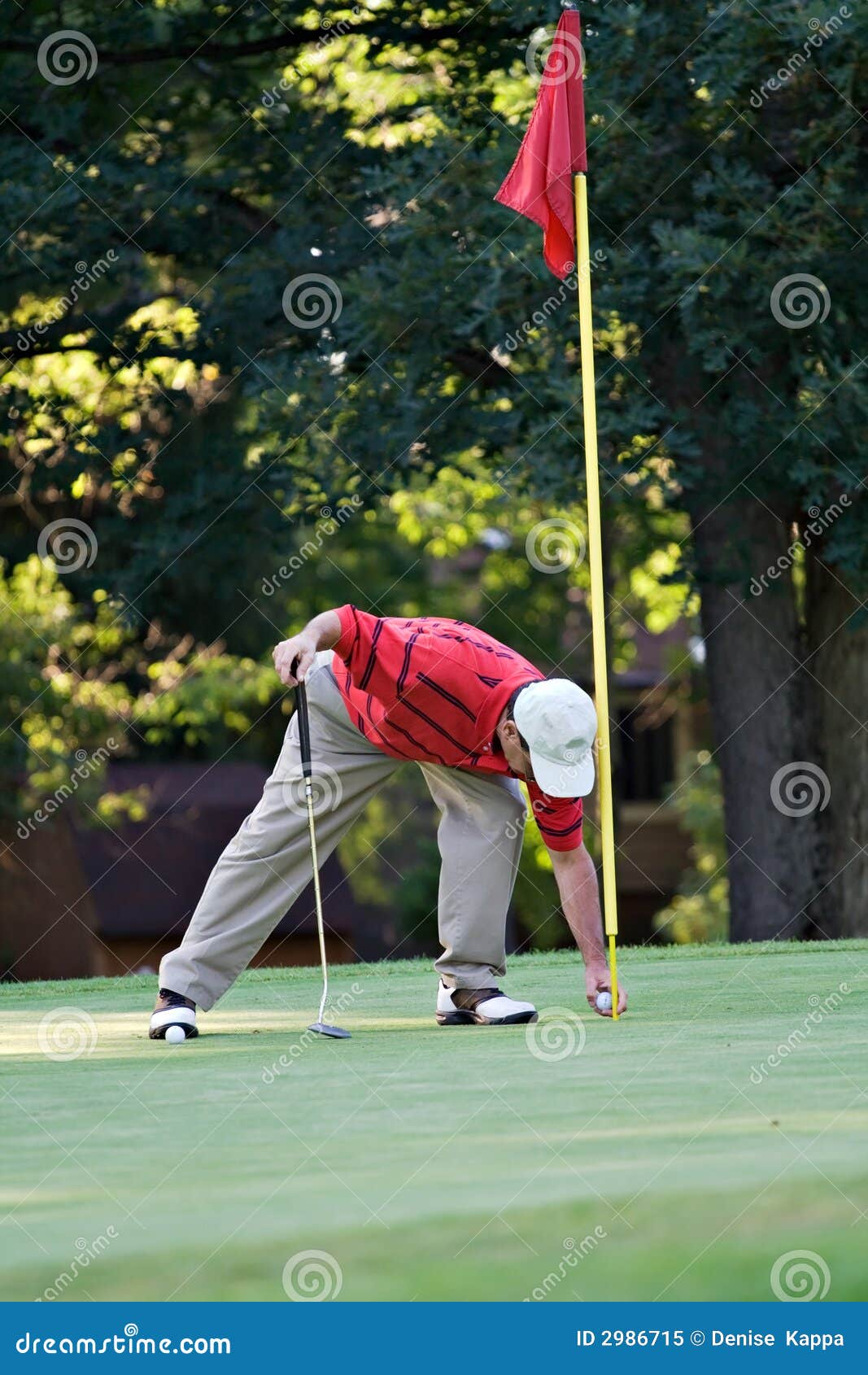 Retrieving Ball stock image. Image of retirement, lesson - 2986715