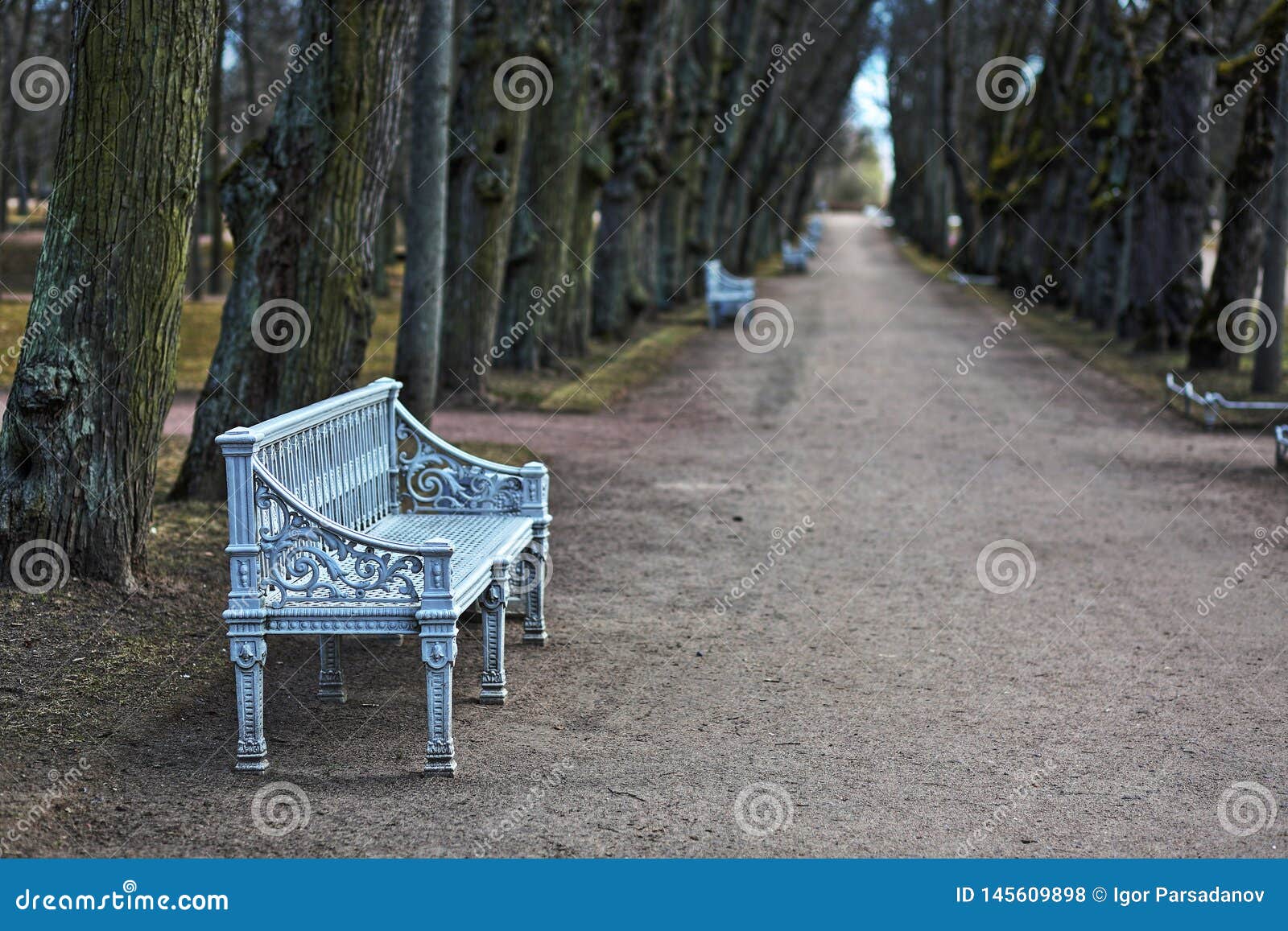 Retro bench in spring Park stock photo. Image of trees - 145609898