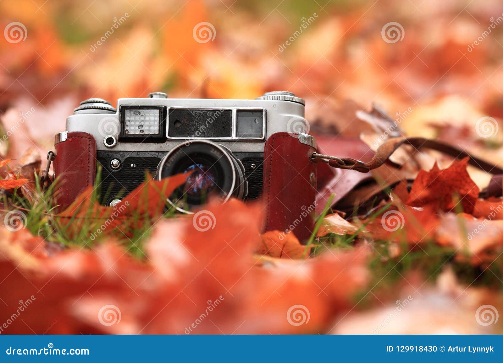 Retro camera in autumn stock photo. Image of nostalgia - 129918430