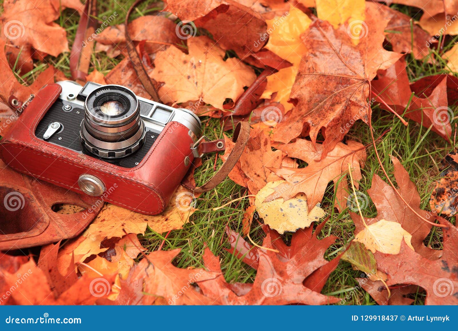 Retro camera in autumn stock image. Image of outdoor - 129918437