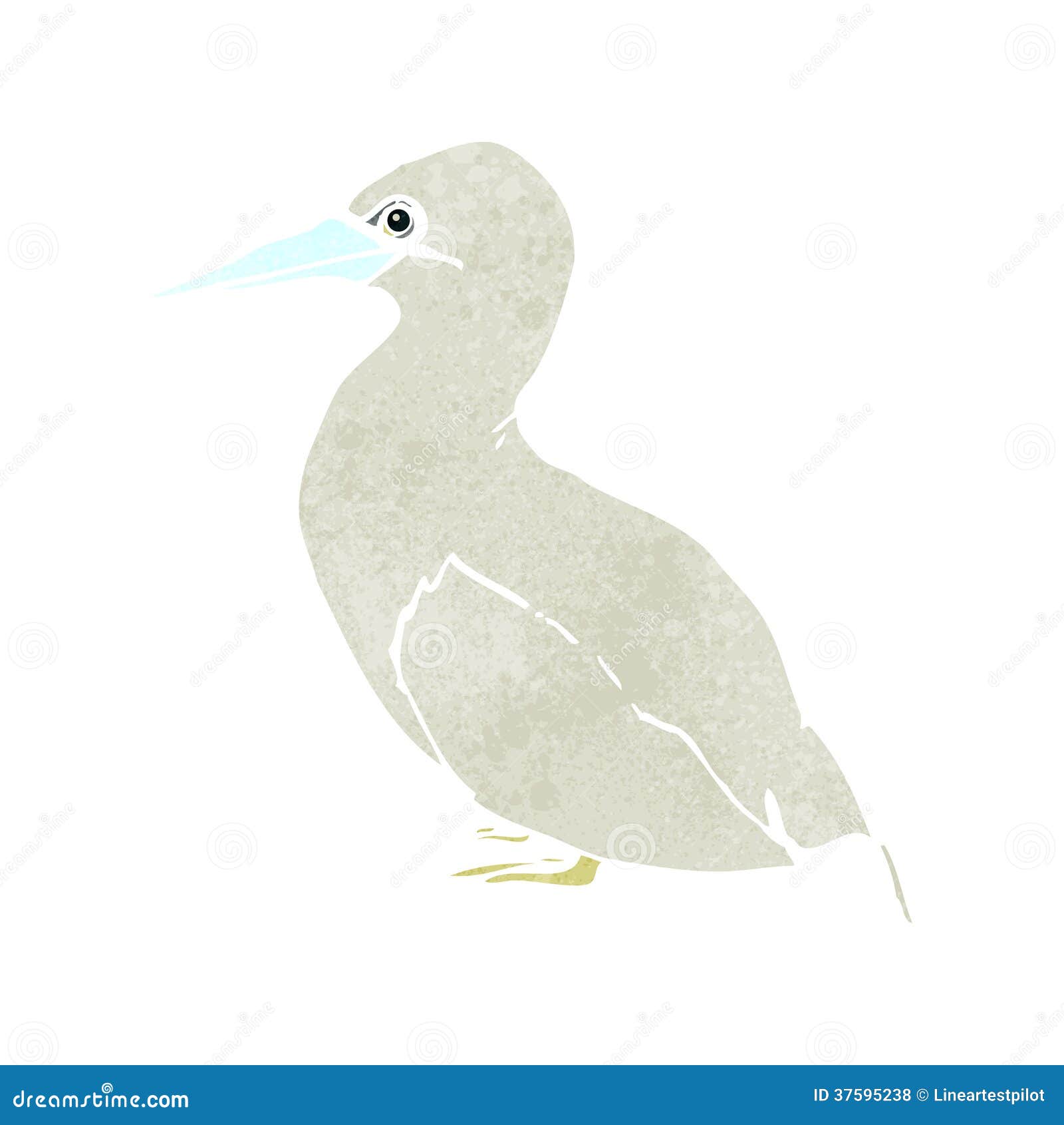 Retro cartoon sea bird stock vector. Illustration of watercolor - 37595238