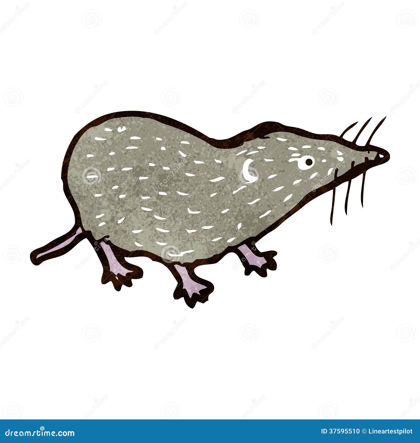 Retro cartoon shrew stock vector. Illustration of retro - 37595510
