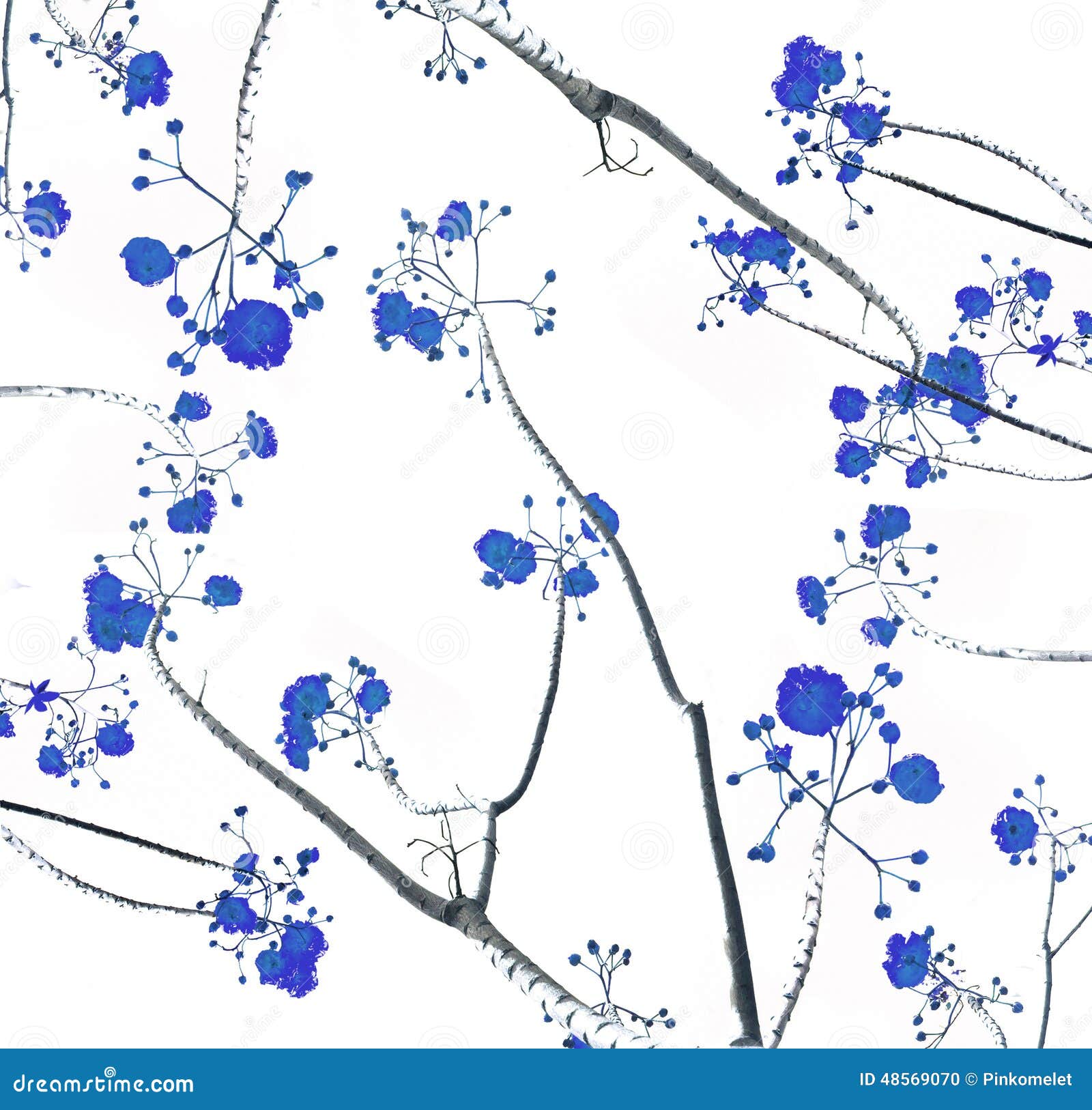 Retro Color Tone of Flower Branch with White Background Stock Photo ...