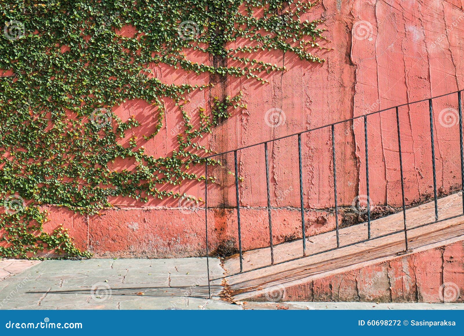 Retro Concrete Wall with Climber Tree and Ramp Stock Photo - Image of ...