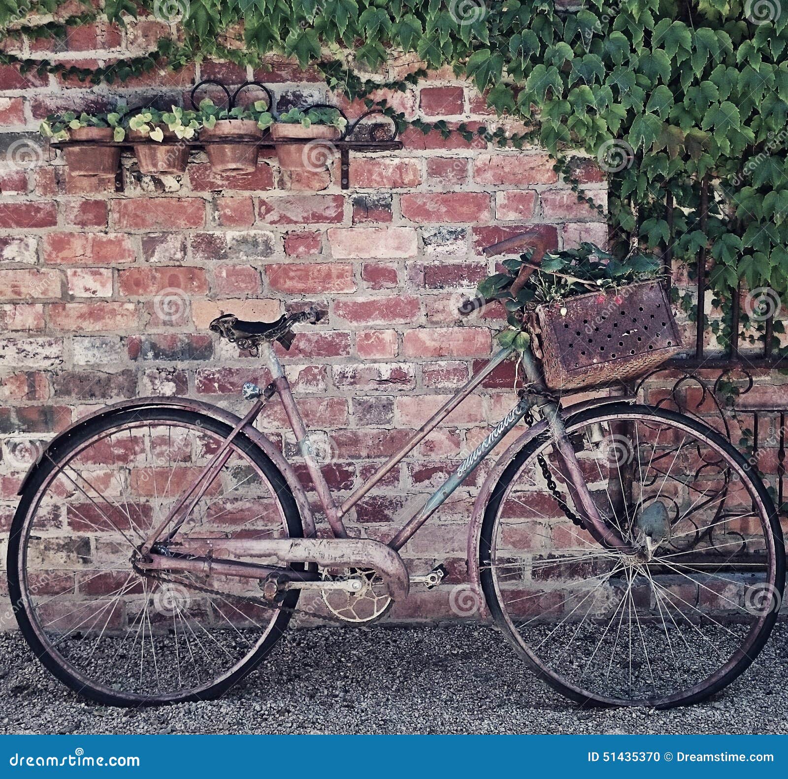 Retro Fiets met Mand redactionele afbeelding. Image of retro - 51435370