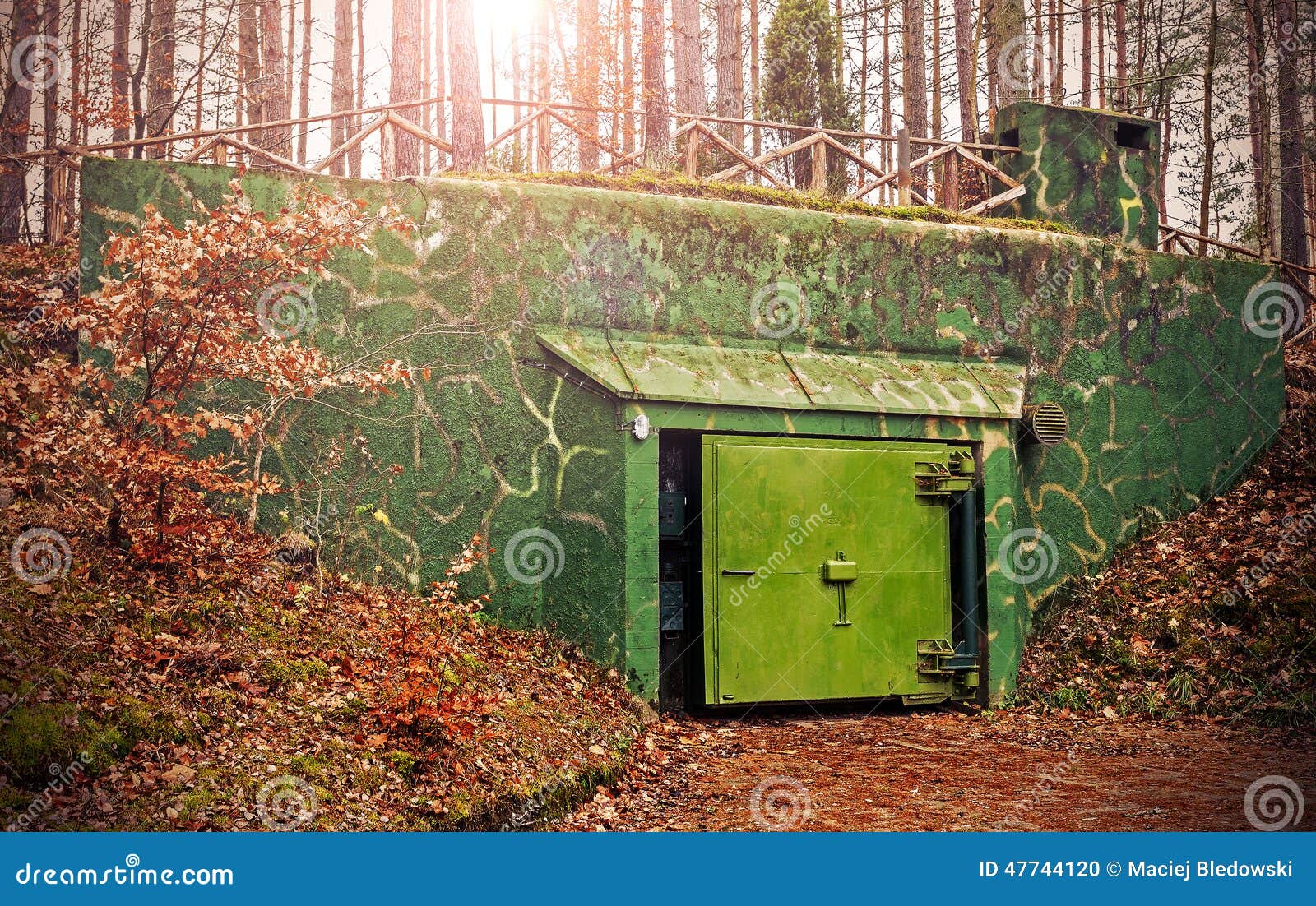 Retro Filtered Picture of a Bunker Hidden in Forest. Stock Photo ...