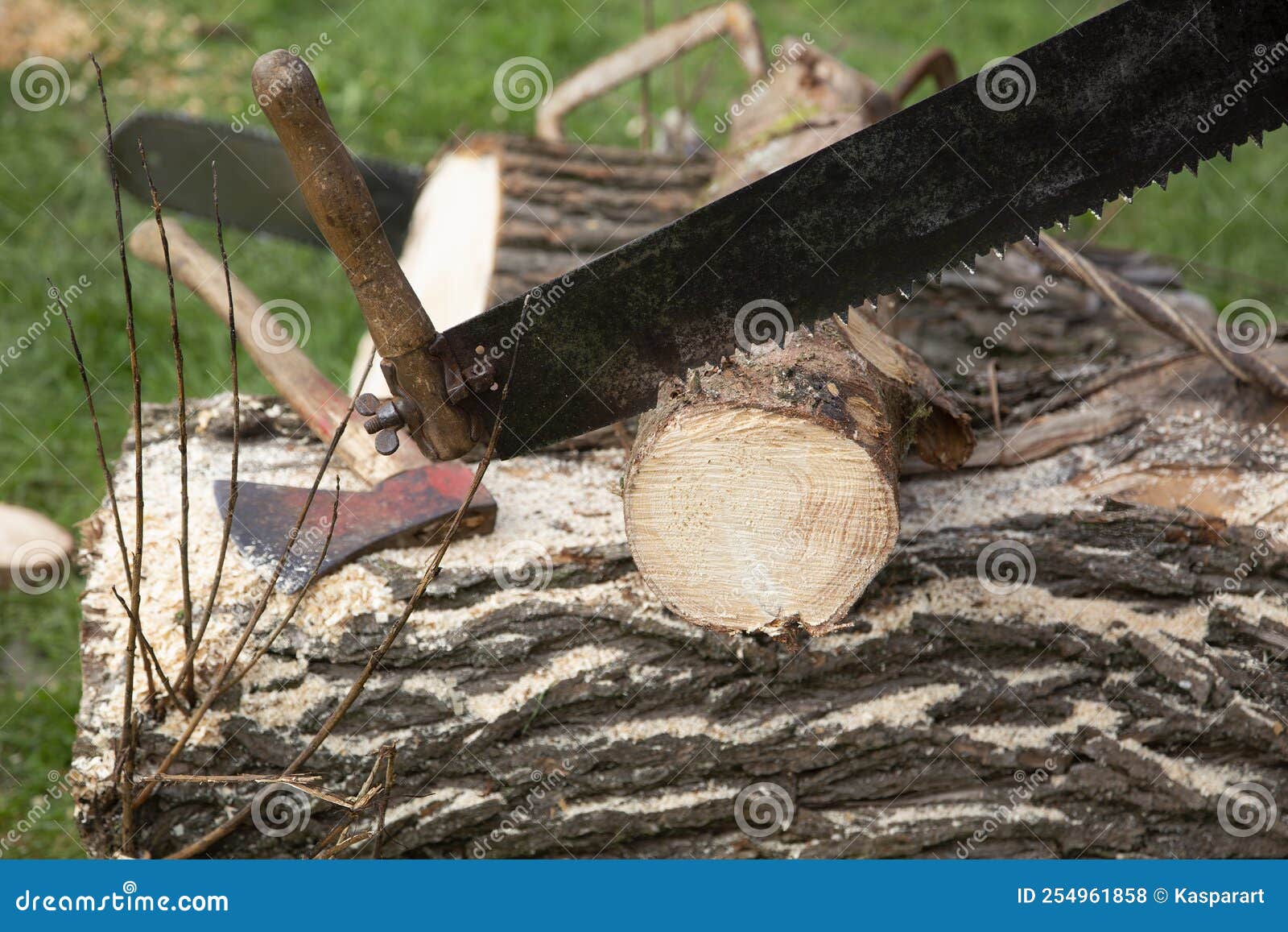 Old Fashioned Firewood Making with Axe and Saw Stock Photo - Image of ...
