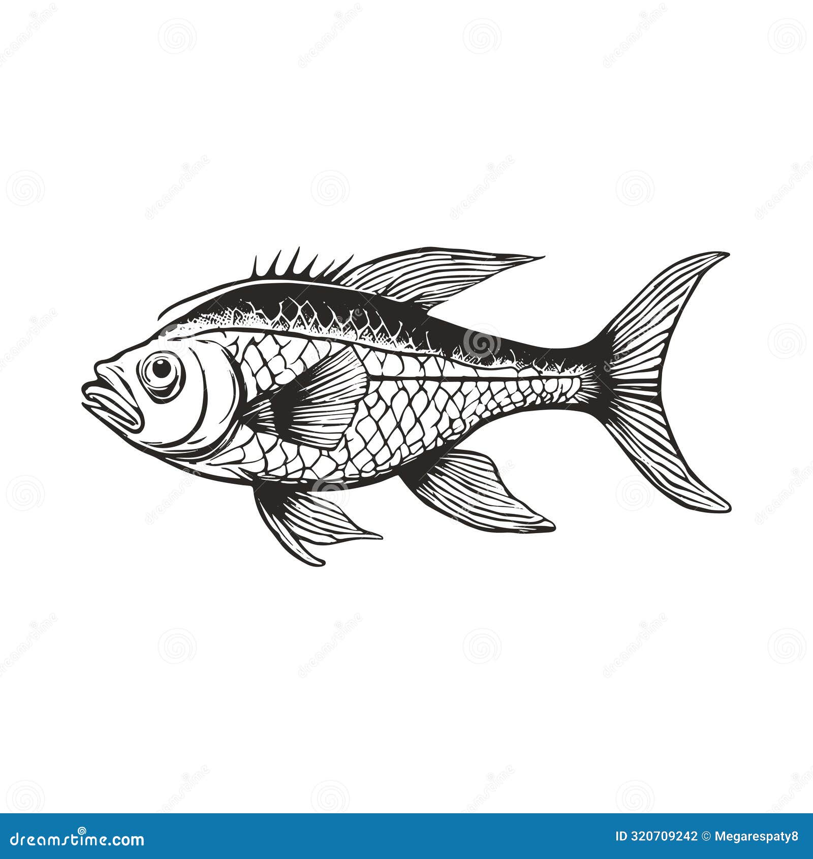 Retro Vintage Fish Sketch Engraving Drawing Stock Vector - Illustration ...