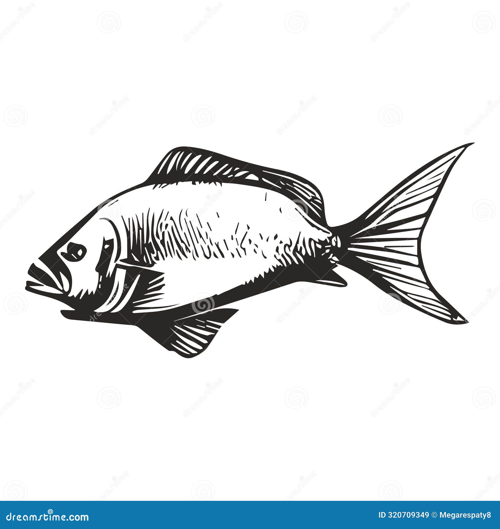 Retro Vintage Fish Sketch Engraving Drawing Stock Vector - Illustration ...